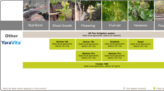Table Grape Fertilizer Program - Liquid | Yara United States
